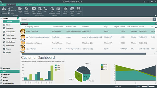 How Do You Control The Color Of The Applications Window Frame Infragistics Forums