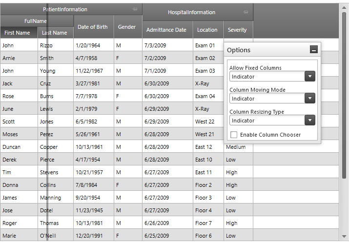 Group Columns Grid Wpf